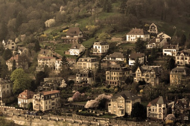 The Setting for the Schellberg Cycle | Jane Bwye